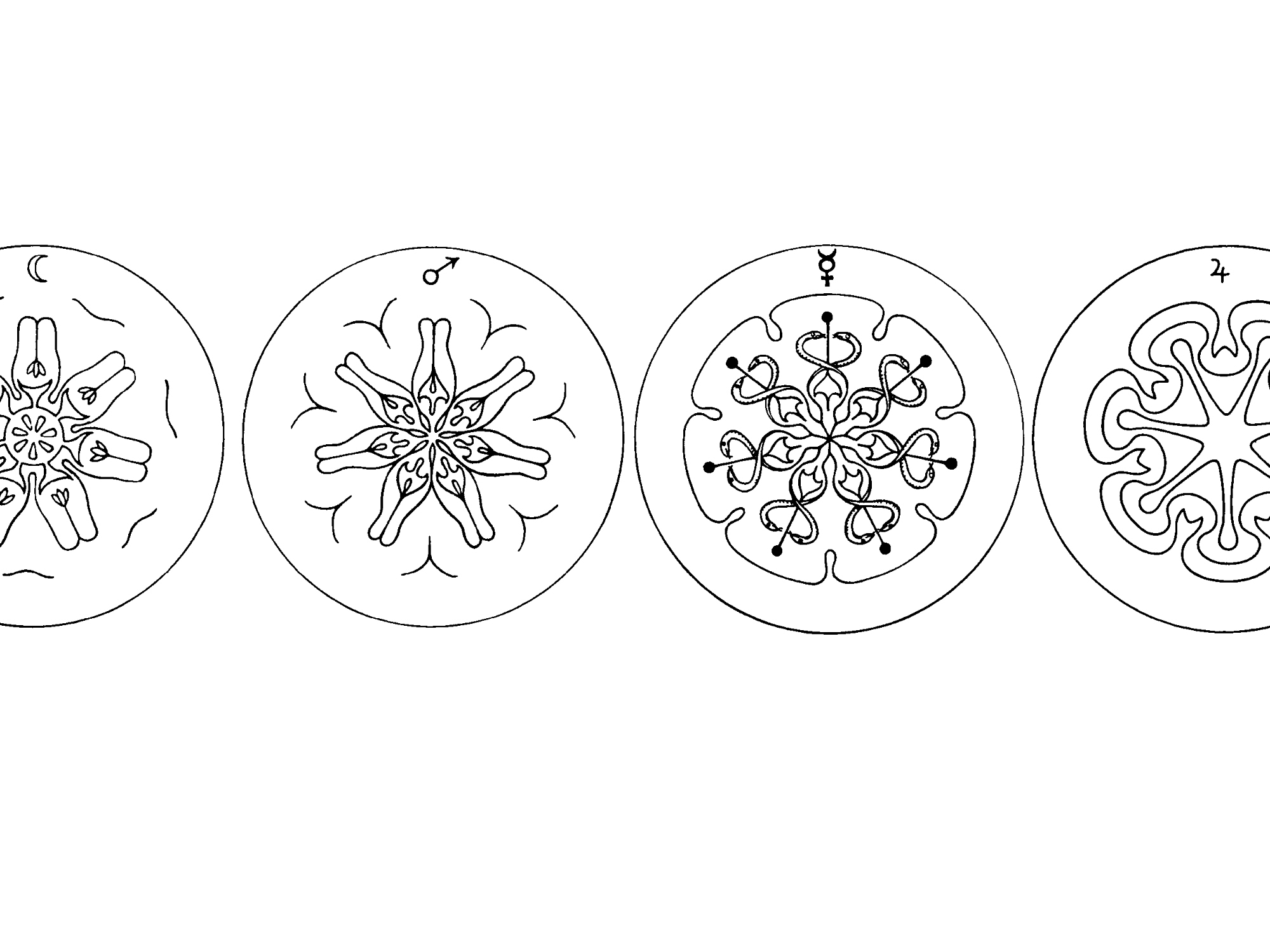 Schweiz - Eine Karte der Evolution